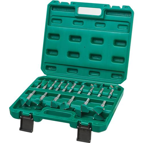 Grizzly PRO T33696 - Tungsten Carbide Hex Shank Forstner Bit Set, 16 Pc ...